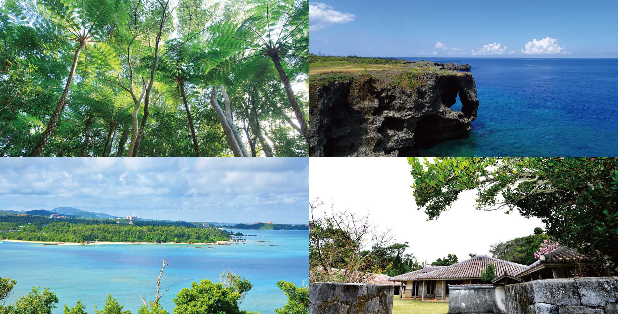 Deep Okinawa YANBARU